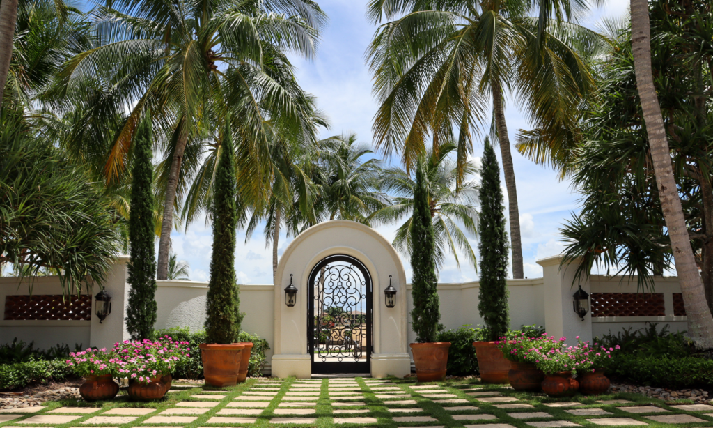 Blog - Barbara Maxwell